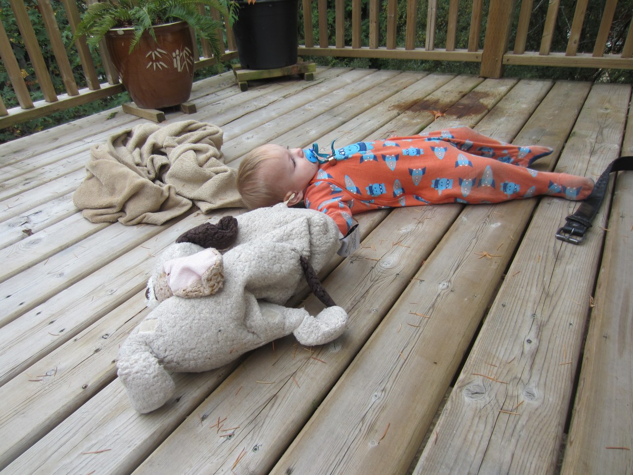 Moving Day! | Busted Button