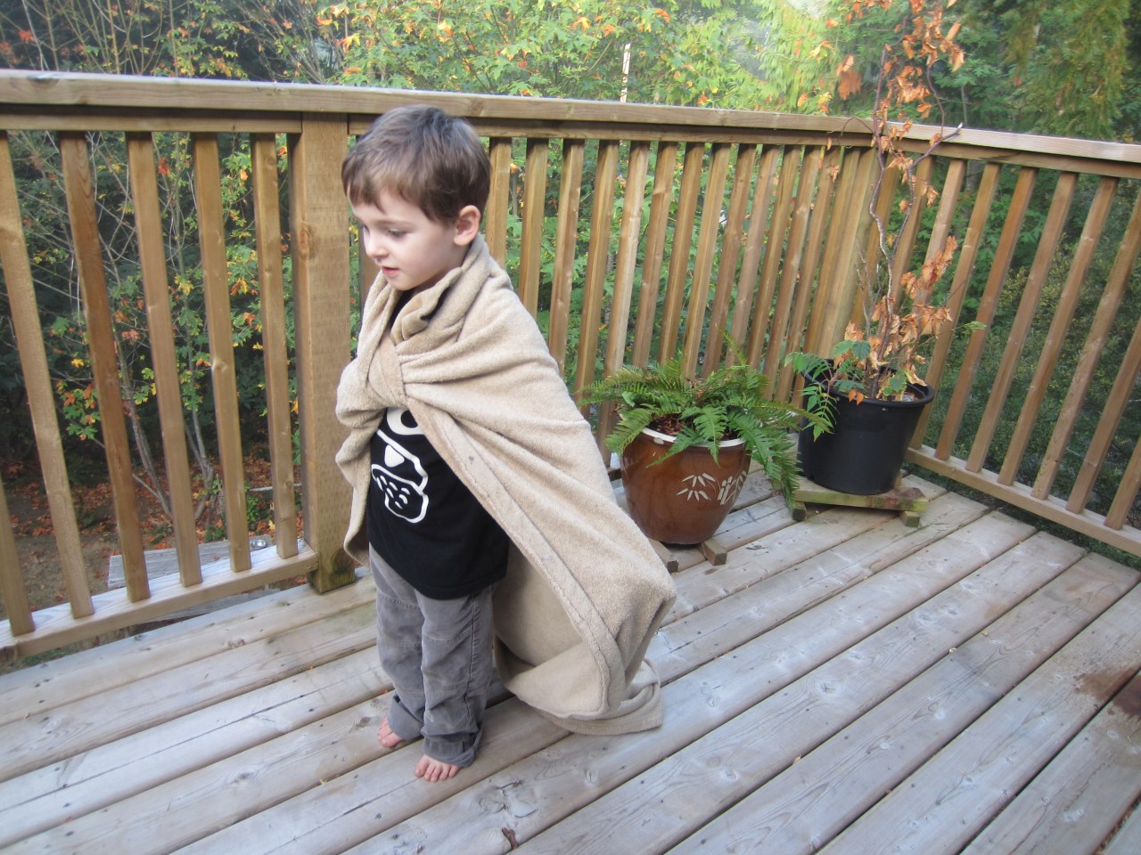 Moving Day! | Busted Button