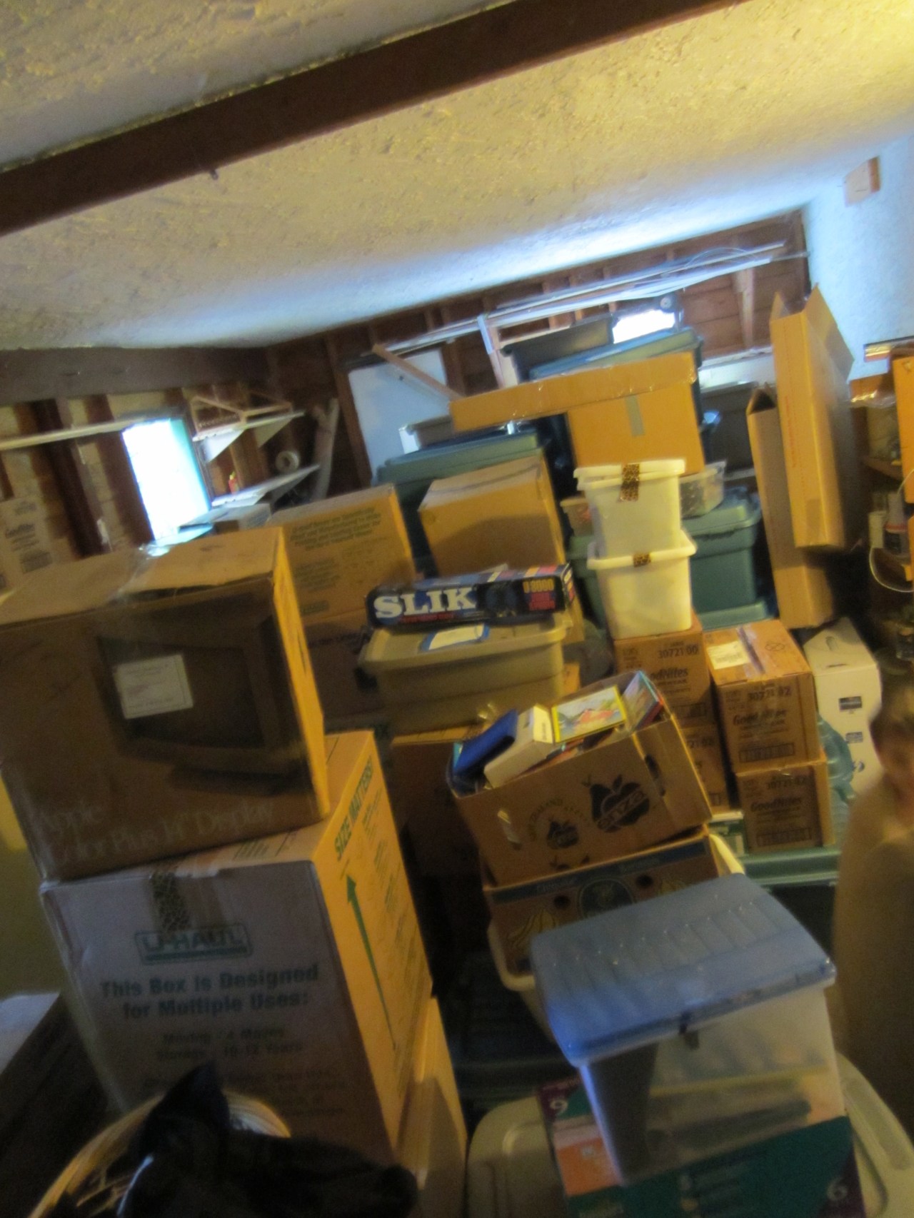 Moving Day! | Busted Button