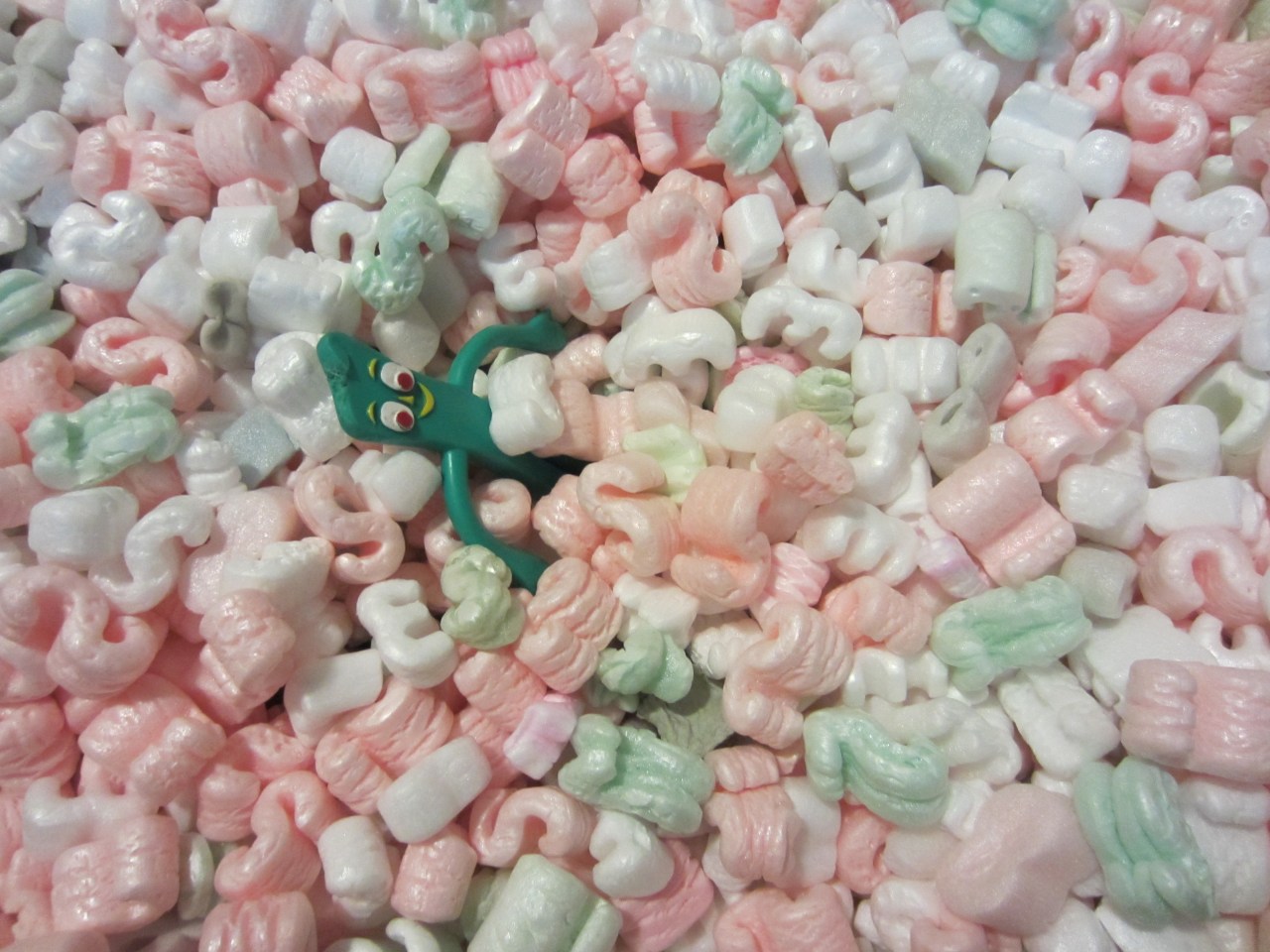 Moving Day! | Busted Button