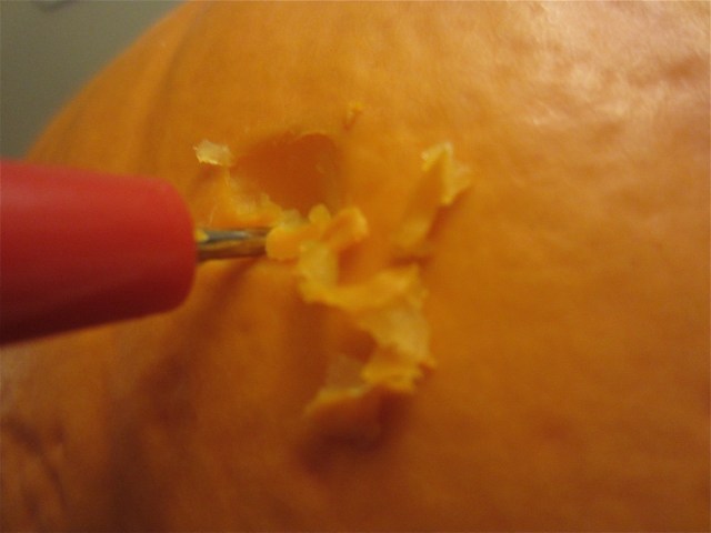 Four Little Pumpkins (Part 3) (And a bonus gender-reveal surprise ...